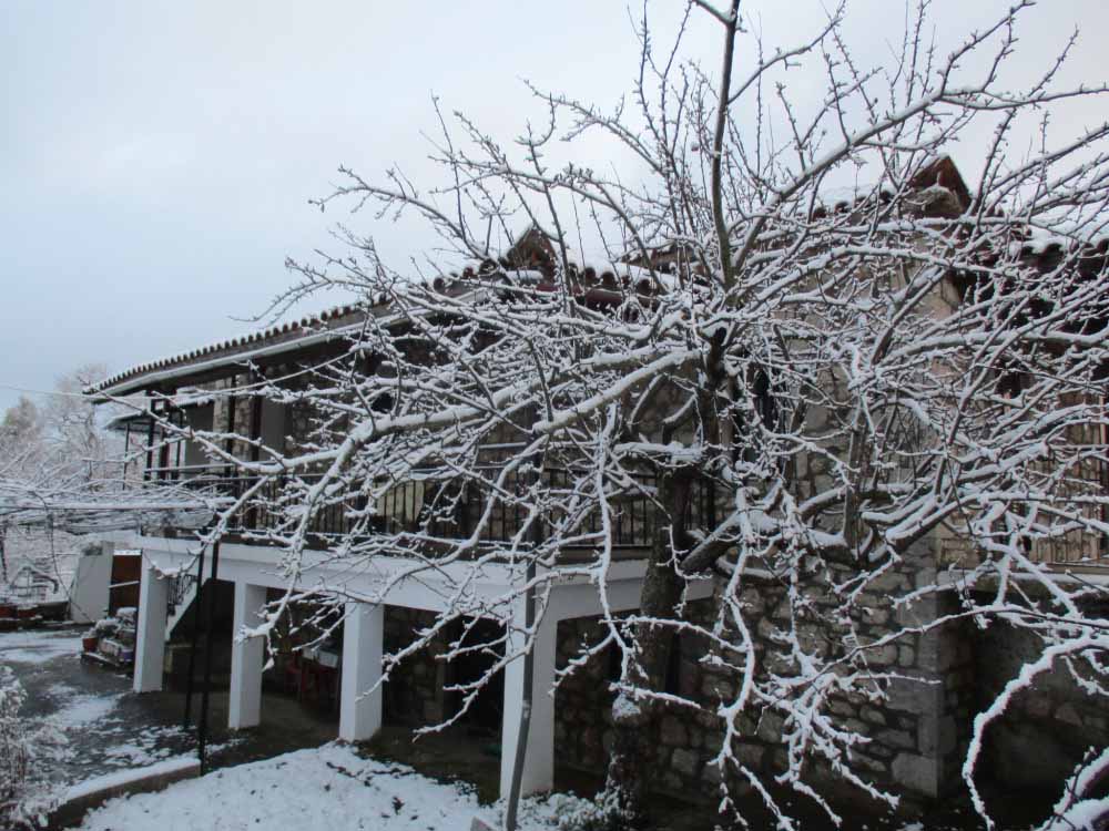 ΛΕΥΚΟ ΠΡΩΪΝΟ΄΄ ΜΕ ΑΦΘΟΝΟ ΧΙΟΝΙ ΣΤΗ ΖΩΝΗ – ΜΟΡΦΩΤΙΚΟΣ ΕΞΩΡΑΪΣΤΙΚΟΣ ...