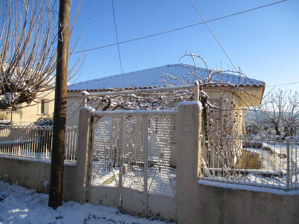 ΑΚΟΜΑ ΕΝΑ ΜΑΓΕΥΤΙΚΟ ΠΡΩΪΝΟ ΣΤΗ ΧΙΟΝΟΣΚΕΠΑΣΤΗ ΖΩΝΗ – ΜΟΡΦΩΤΙΚΟΣ ...