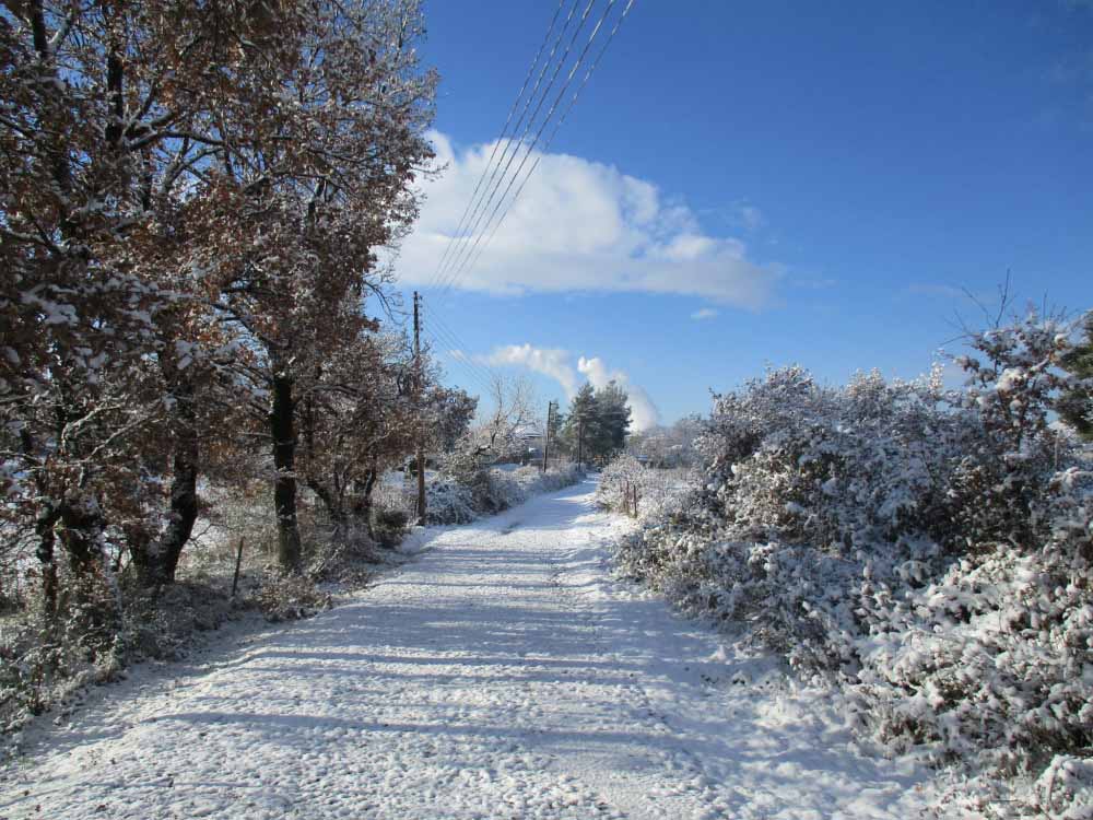ΑΚΟΜΑ ΕΝΑ ΜΑΓΕΥΤΙΚΟ ΠΡΩΪΝΟ ΣΤΗ ΧΙΟΝΟΣΚΕΠΑΣΤΗ ΖΩΝΗ – ΜΟΡΦΩΤΙΚΟΣ ...