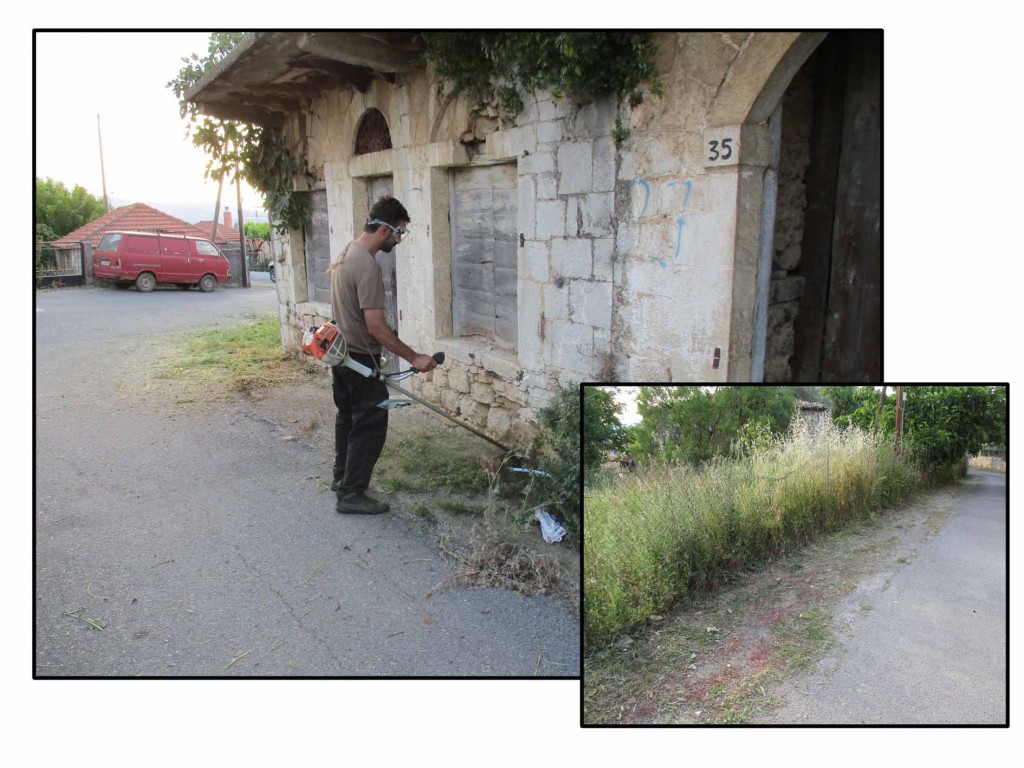 ΕΘΕΛΟΝΤΙΚΗ ΔΡΑΣΗ ΑΠΟΨΙΛΩΣΗΣ ΣΤΗΝ ΖΩΝΗ – ΜΟΡΦΩΤΙΚΟΣ ΕΞΩΡΑΪΚΟΣ ΣΥΛΛΟΓΟΣ ...