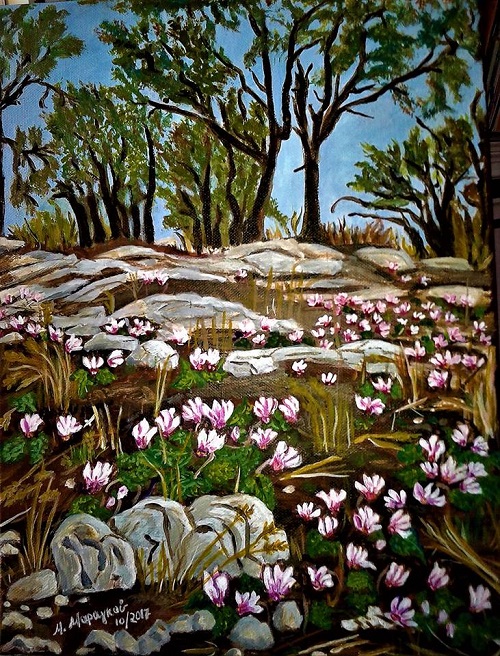 Κυκλάμινο – ΜΟΡΦΩΤΙΚΟΣ ΕΞΩΡΑΪΚΟΣ ΣΥΛΛΟΓΟΣ ΖΩΝΗΣ ΑΡΚΑΔΙΑΣ